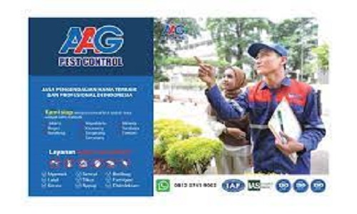 Deteksi Aktivitas Hama Bersama AAG Pest Control | Berita